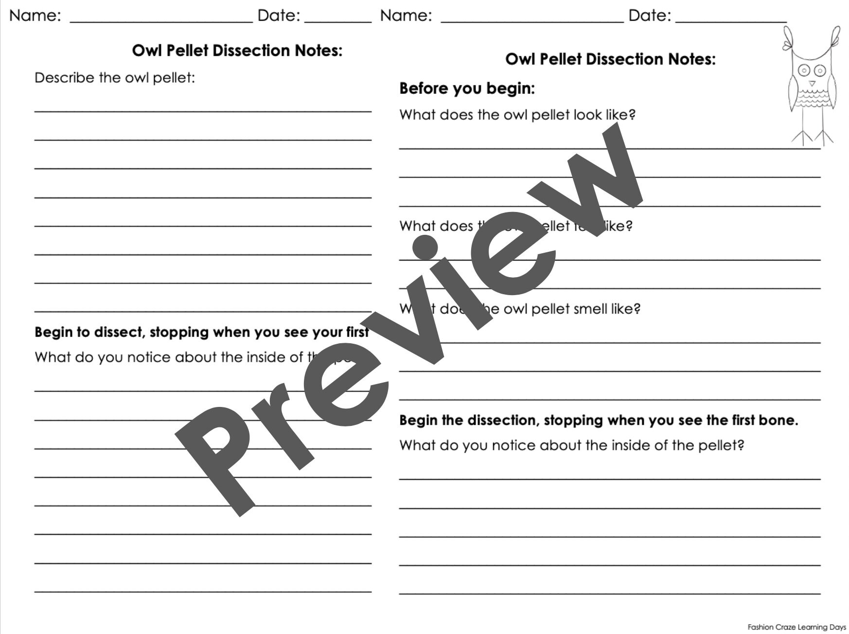 Owl Pellet Dissection - Pre, During and Post Notes and Graphic ...