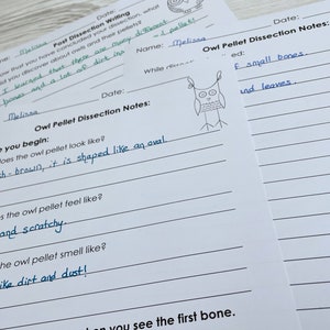 Owl Pellet Dissection - Pre, During and Post Notes and Graphic ...