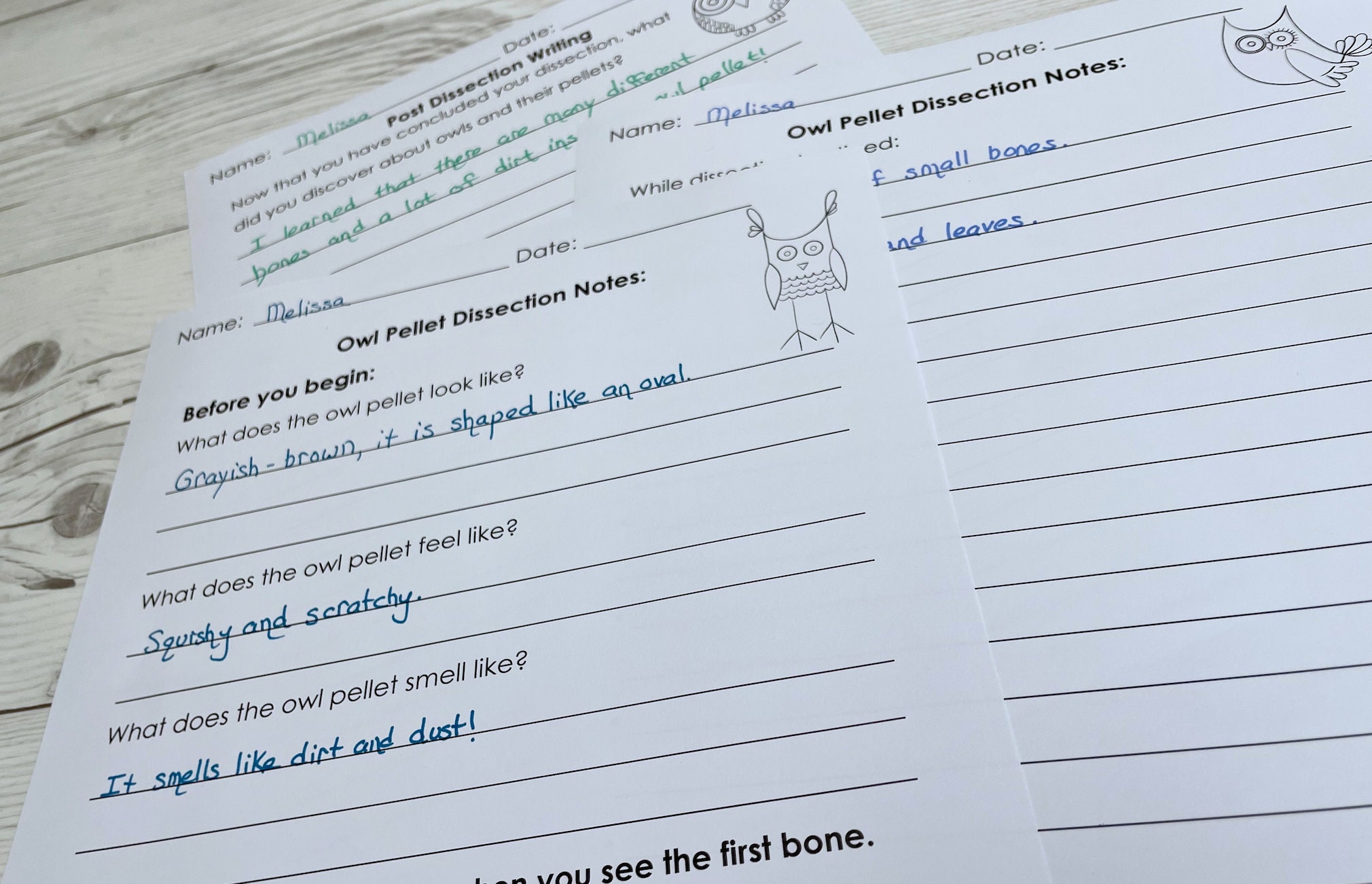 Owl Pellet Dissection - Pre, During and Post Notes and Graphic ...