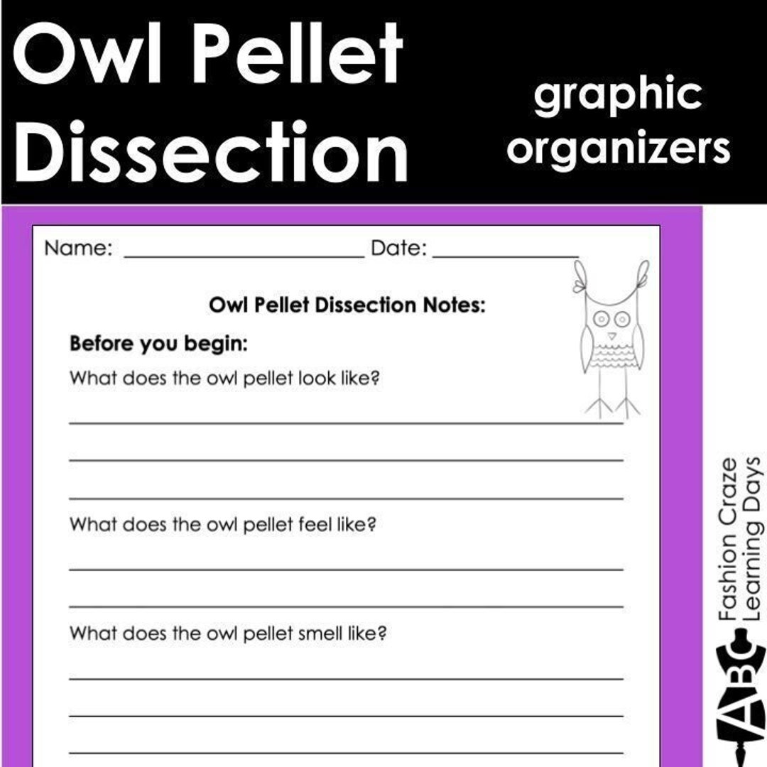 Owl Pellet Dissection - Pre, During and Post Notes and Graphic ...