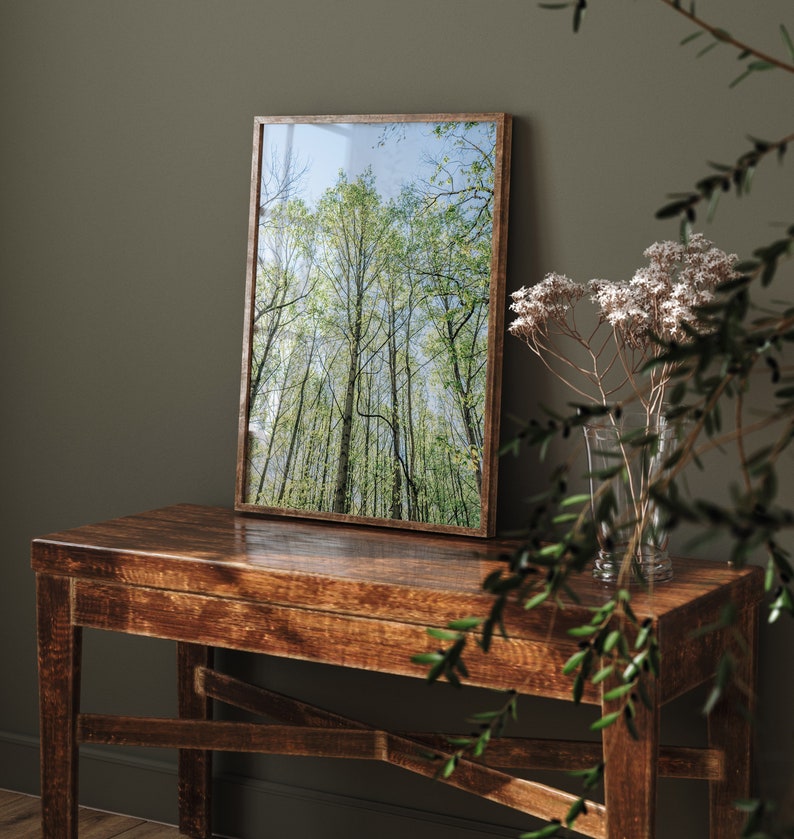 Forest Woods Wall Art, Tree Landscape Art, Landscape Print, Home Decor ...