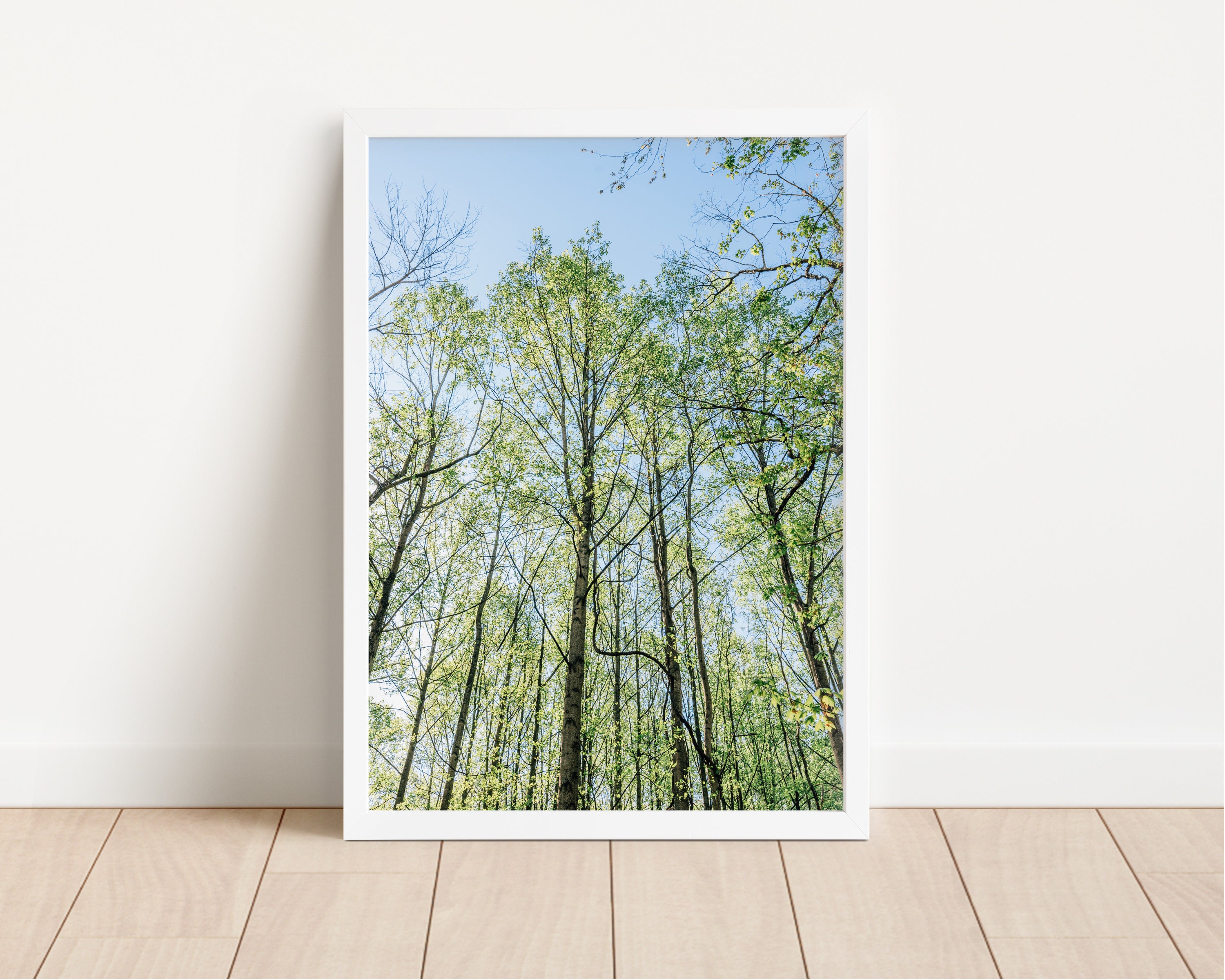 Forest Woods Wall Art, Tree Landscape Art, Landscape Print, Home Decor ...