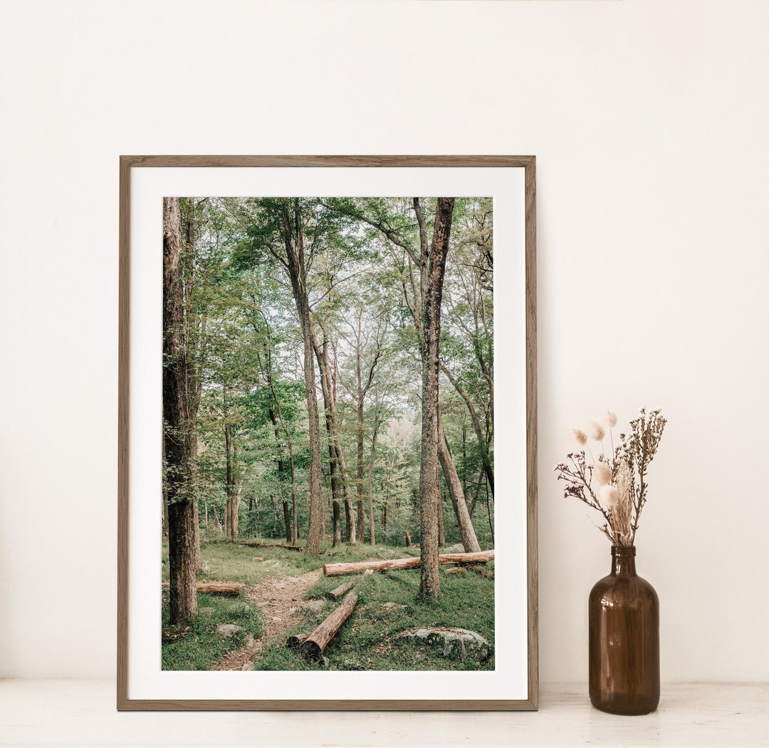Farm House Printable Wall Art, Forest Photography Landscape Art, Woodsy ...