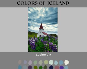 Procreate Color Palette | Colors of Iceland | Color Swatches | iPad ...