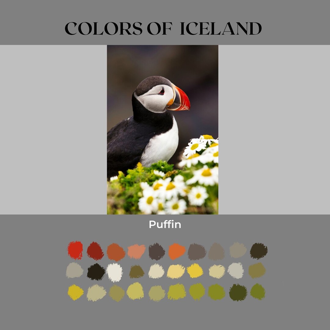 Procreate Color Palette | Colors of Iceland | Color Swatches | iPad ...