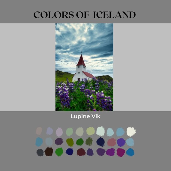 Procreate Color Palette Colors of Iceland Color Swatches - Etsy