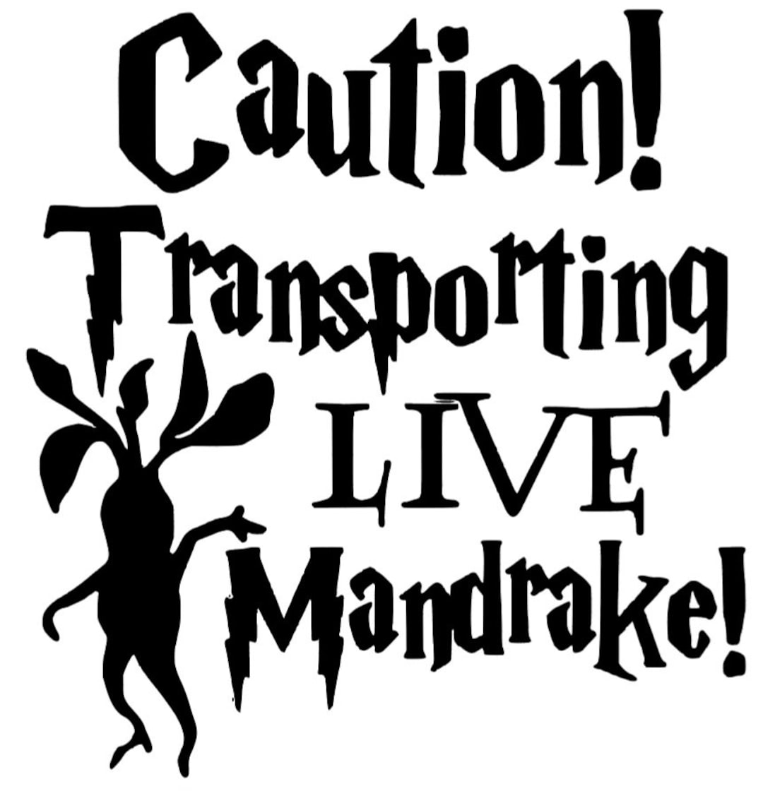 Live Mandrake Car Decal - Etsy