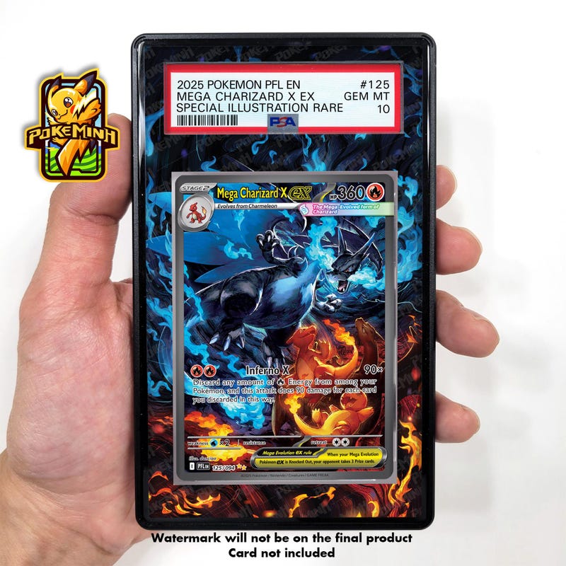 Charizard X Frame Art - Etsy