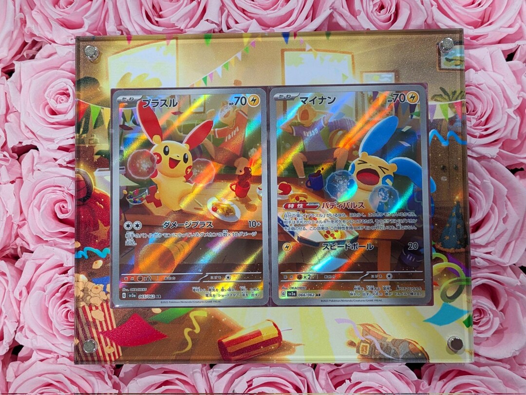 Plusle and Minun IR Custom Pokemon Card Display Case - Etsy