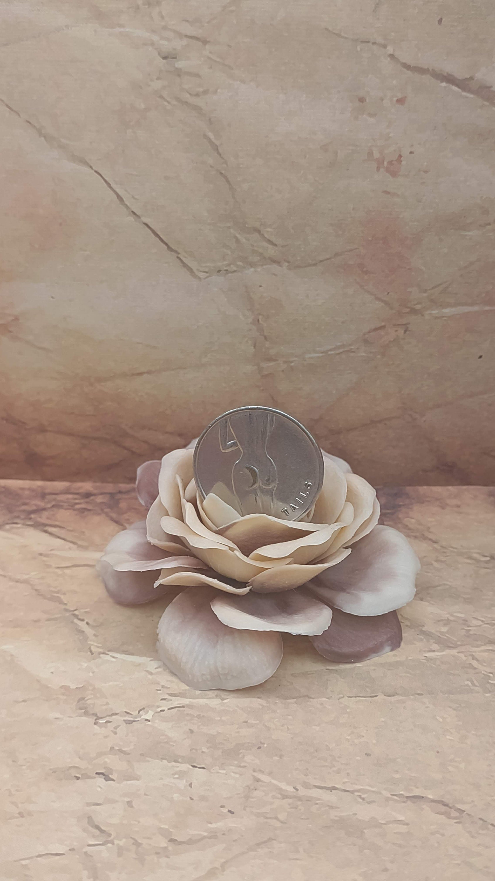 Heads or Tails Coin Topless and Bottomless Coin Pin-up Coin - Etsy