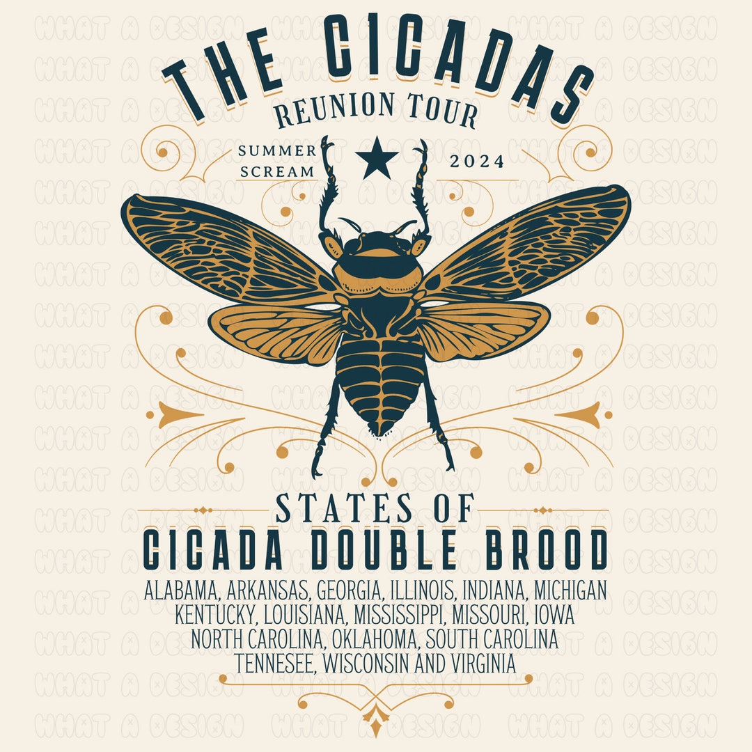 Cicada Reunion Tour Png, Cicada Png Shirt, Cicada Concert Tour 2024 ...