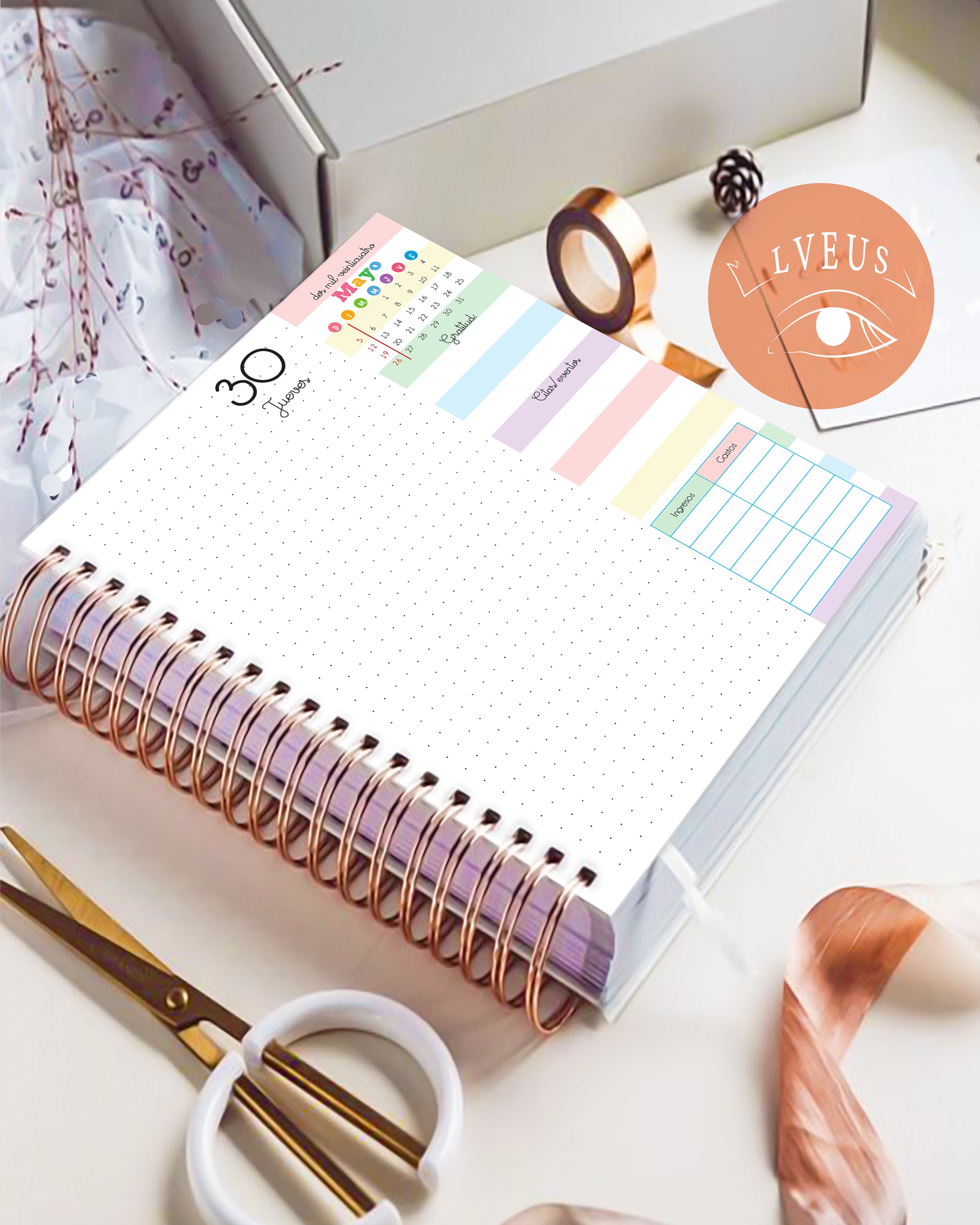 AGENDA 2024 / DAILY Printable PDF File / Medium Trade / With Stickers ...