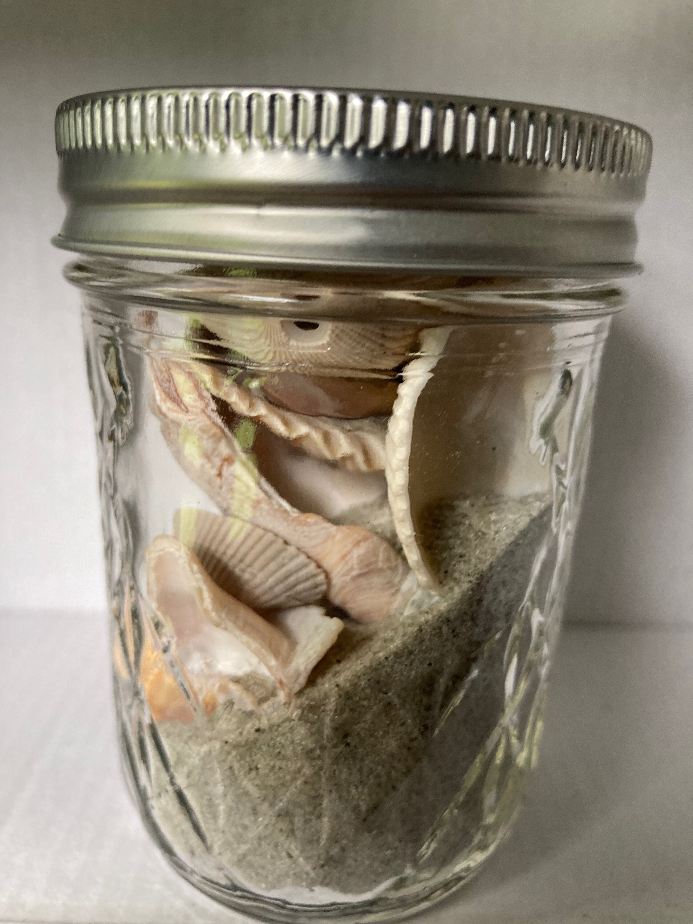 Medium Authentic Myrtle Beach Sand and Shell Jar - Etsy