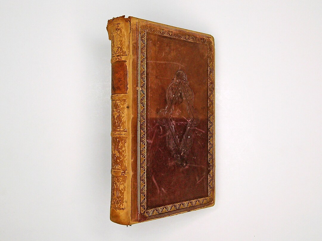 The Beauties of Clarendon by Alfred Howard (c.1820s) Vintage Book ...