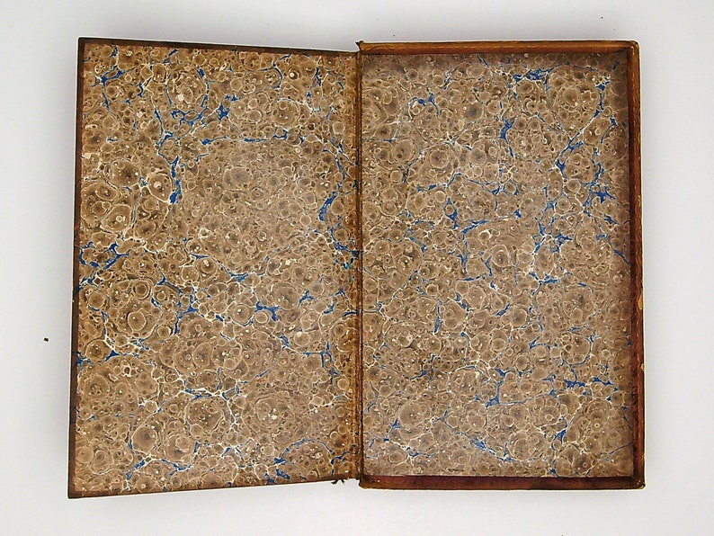 The Beauties of Clarendon by Alfred Howard (c.1820s) Vintage Book ...