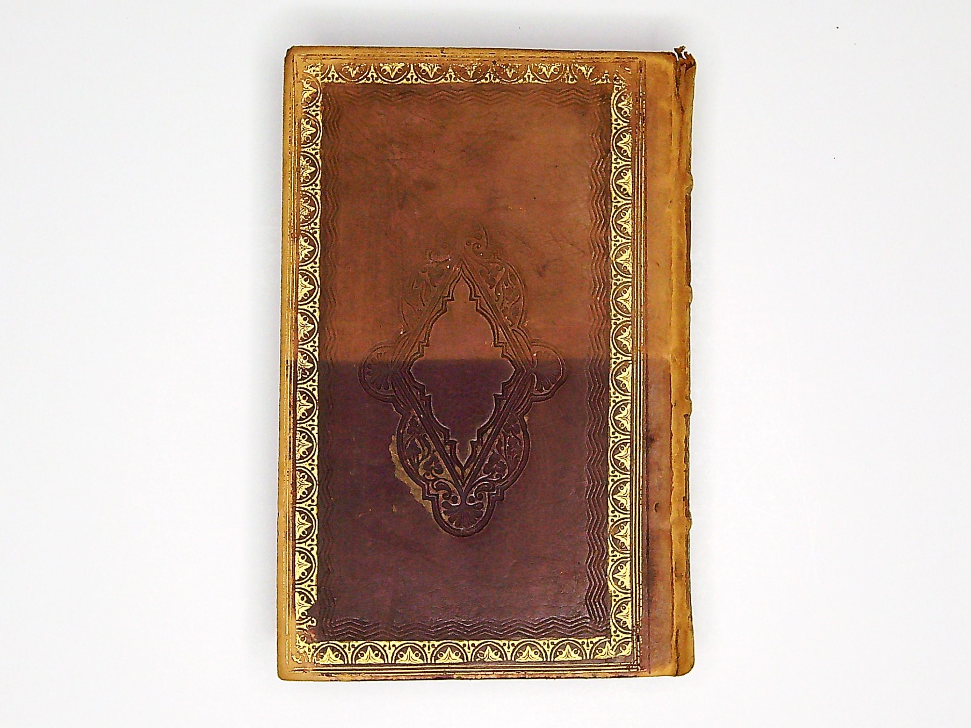 The Beauties of Clarendon by Alfred Howard (c.1820s) Vintage Book ...