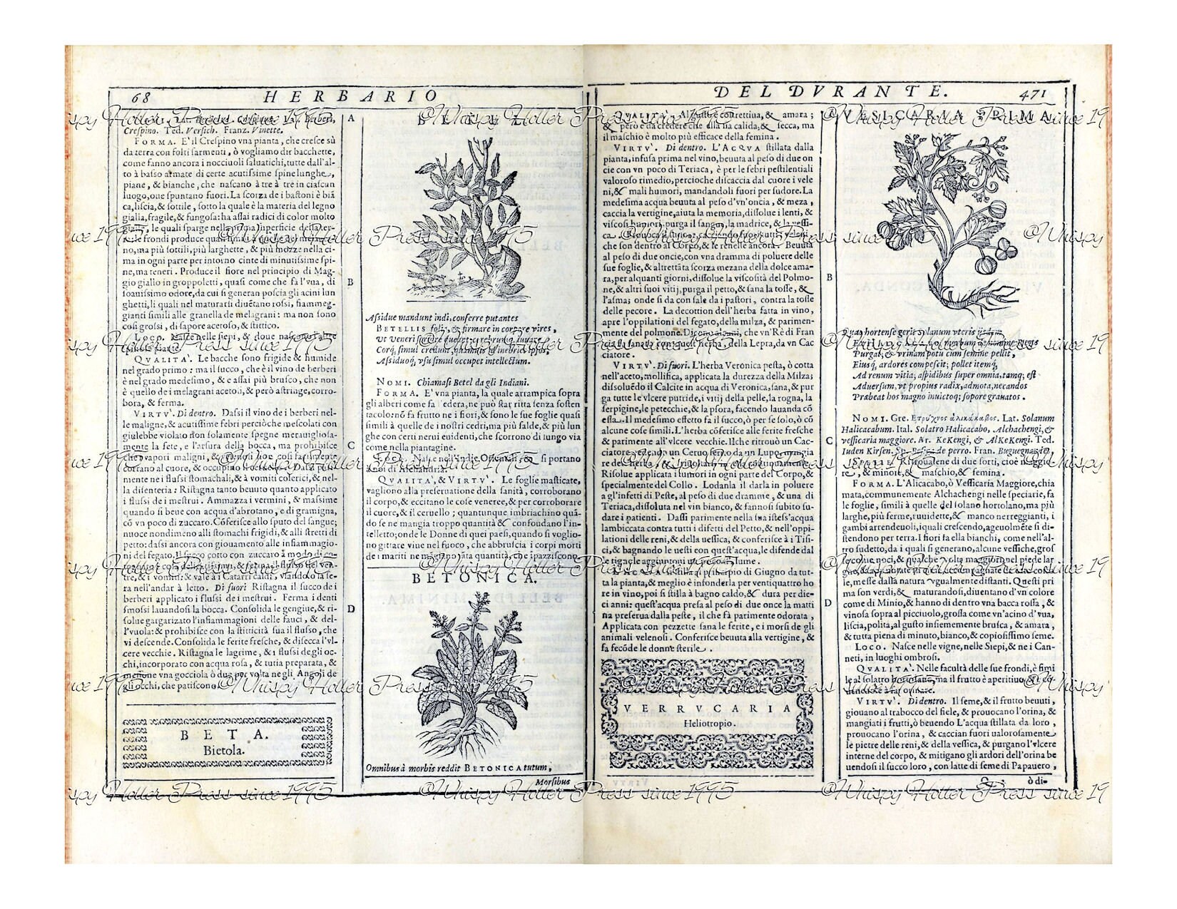 Antique Book Pages 1500-1600s Herb Plant Garden, Junk Journal, Digital ...