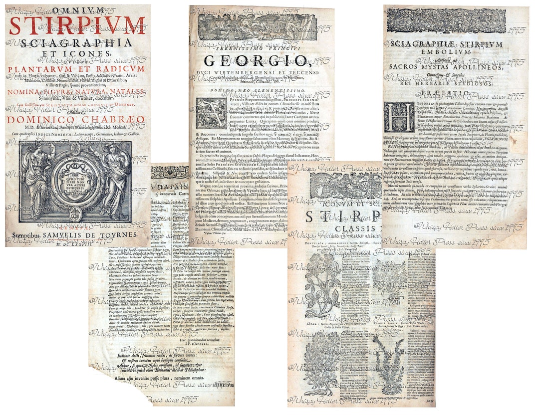 Antique Book Pages 1500-1600s Herb Plant Garden, Junk Journal, Digital ...