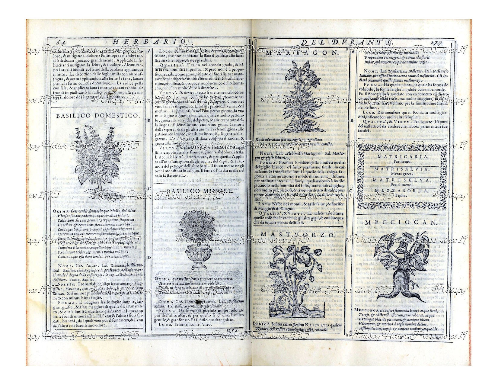 Antique Book Pages 1500-1600s Herb Plant Garden, Junk Journal, Digital ...
