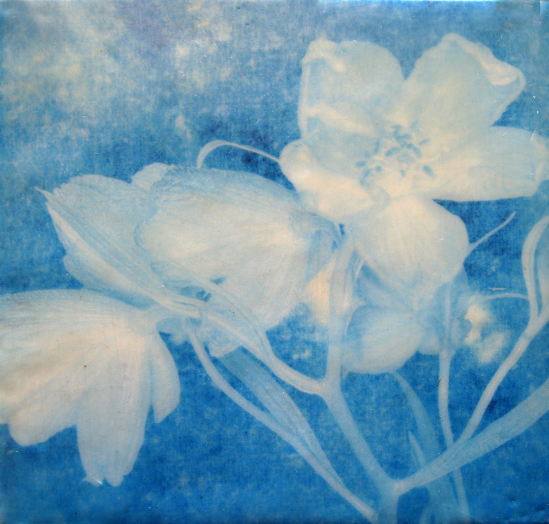 Blue Flowers II: Cyanotype Print Encaustic - Etsy