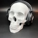 Human Skull Decoration Prop or Headphone Stand , Halloween , Office ...