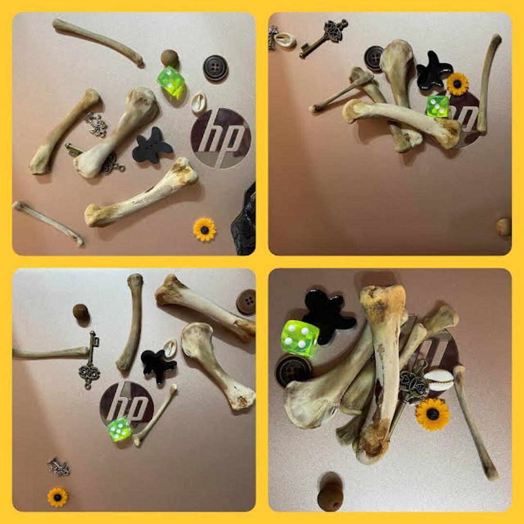 Osteomancy (bone Throwing) Reading: Full-year Overview - Etsy