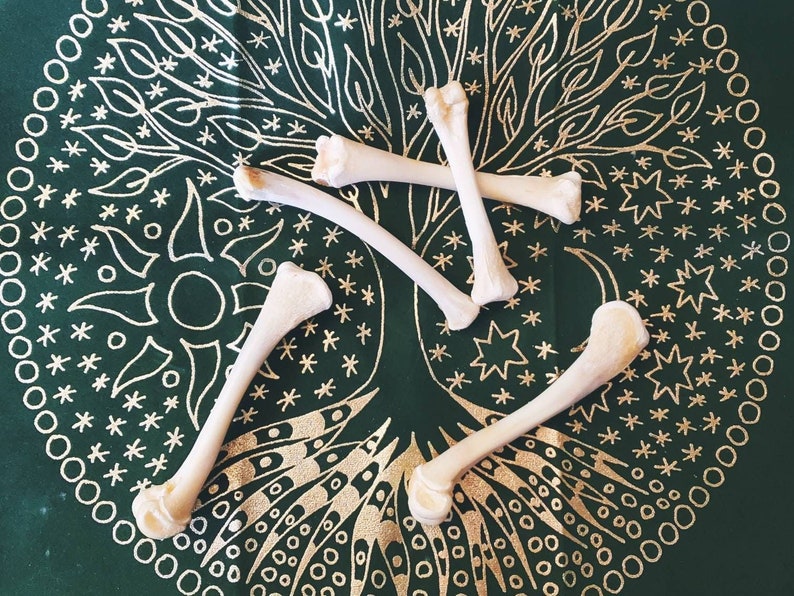 Osteomancy (bone Throwing) Reading: Open-ended Question(s) - Etsy