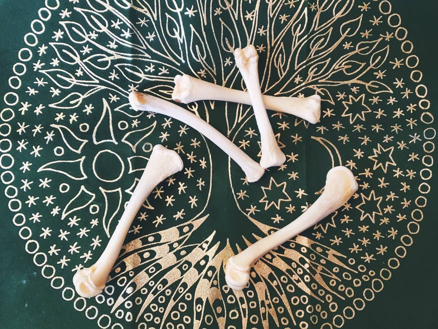 Osteomancy (bone Throwing) Reading: Open-ended Question(s) - Etsy