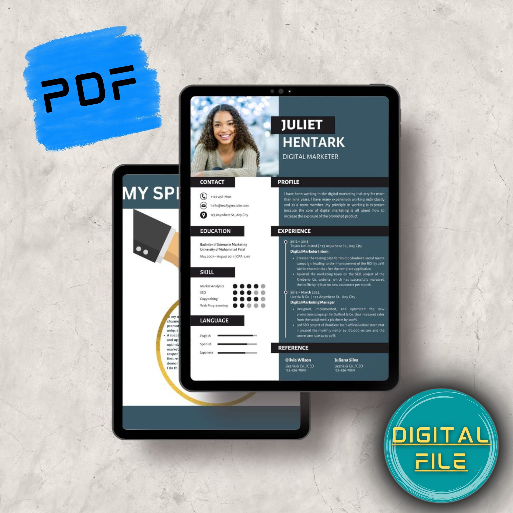 Editable Resume Template With Photo, Professional Resume Template for ...