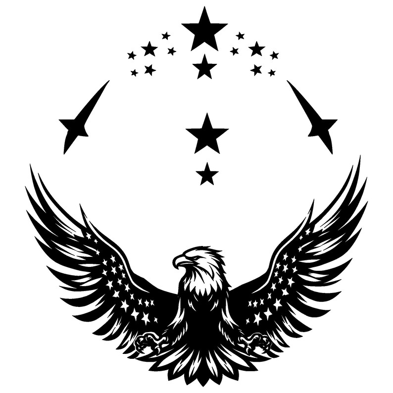 Eagle Hat Burning Design, Wide Brim Rancher Hat, American Bird ...