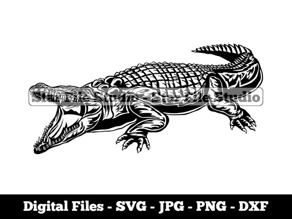 Crocodile 4 Svg Crocodile Svg Amphibian Svg Crocodile Png | Etsy
