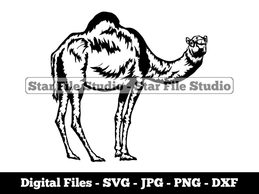 Camel #3 Svg, Camel Svg, Desert Animals Svg, Tourism Svg, Camel Png ...