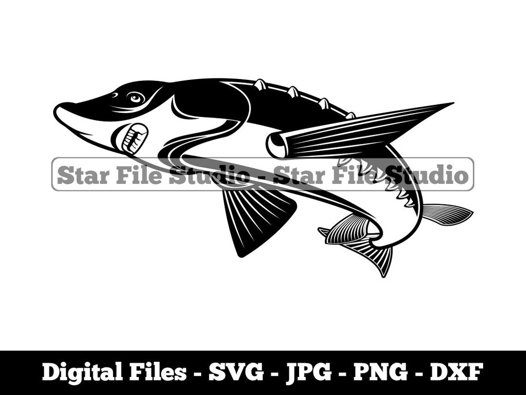 Sturgeon 4 Svg, Fishing Svg, Fish Svg, Sturgeon Png, Sturgeon Jpg ...