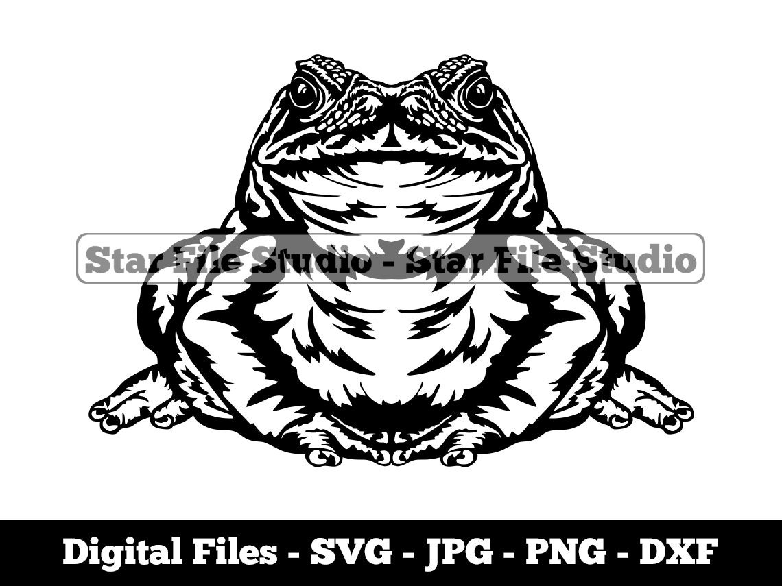 Toad Svg, Amphibian Svg, Frog Svg, Toad Files for Cricut, Toad Png ...