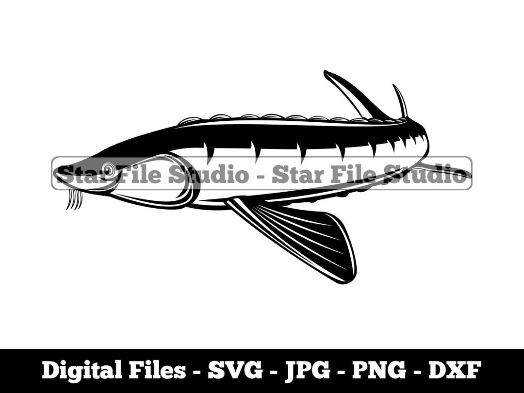 Sturgeon #2 Svg, Fishing Svg, Fish Svg, Sturgeon Png, Sturgeon Jpg ...
