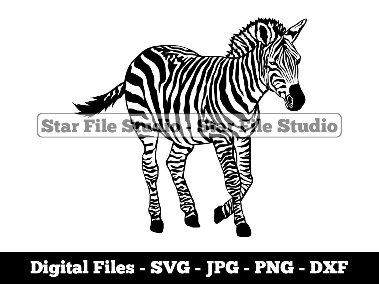 Zebra 2 Svg Zebra Svg Safari Animals Svg Zebra Png Zebra - Etsy