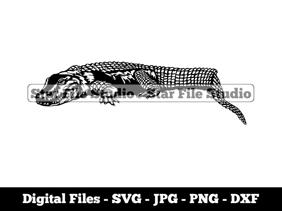 Alligator Svg Alligator Png Alligator Jpg Amphibian Svg - Etsy