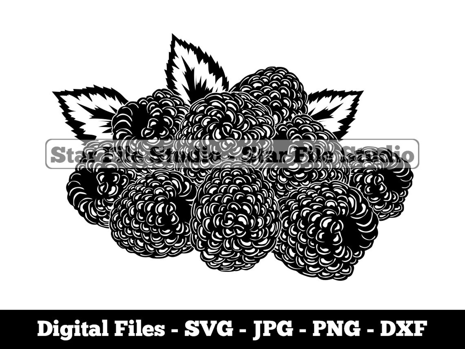 Raspberry Svg Berries Svg Fruits Svg Raspberry Png - Etsy