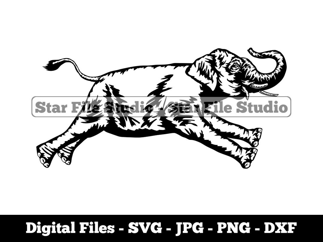 Jumping Elephant Svg, Elephant Svg, Safari Animals Svg, Elephant Png ...