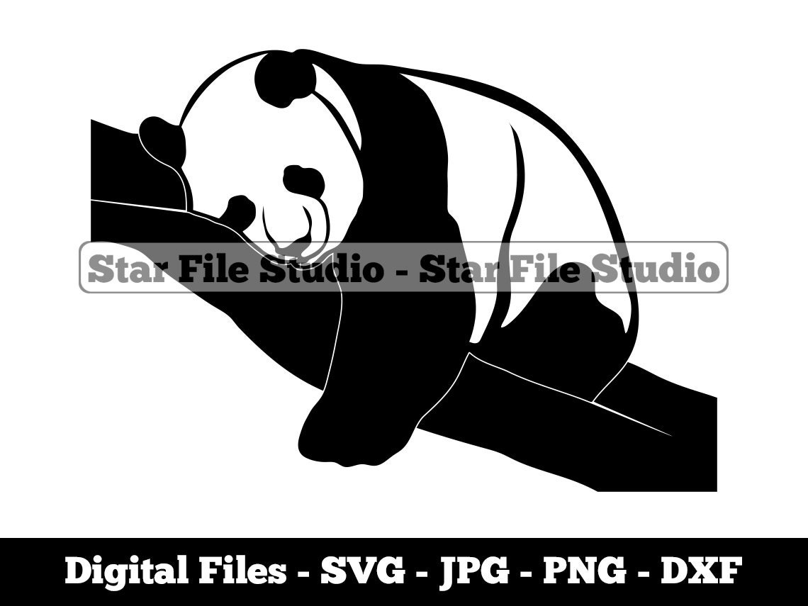 Sleeping Panda Svg Panda Svg Cute Panda Svg Panda Png - Etsy Canada