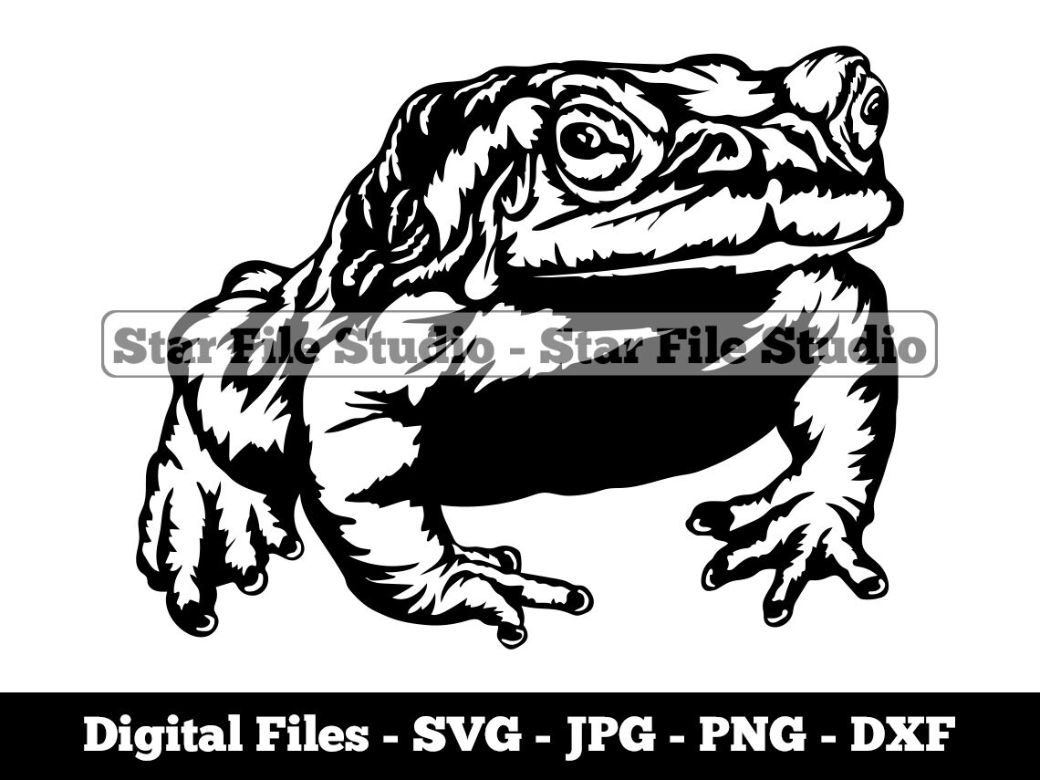 Toad 2 Svg Toad Svg Frog Svg Toad Png Toad Jpg Toad - Etsy