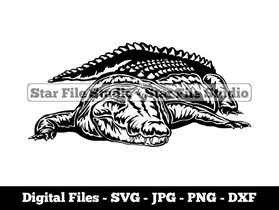 Crocodile 5 Svg Crocodile Svg Amphibian Svg Crocodile Png - Etsy