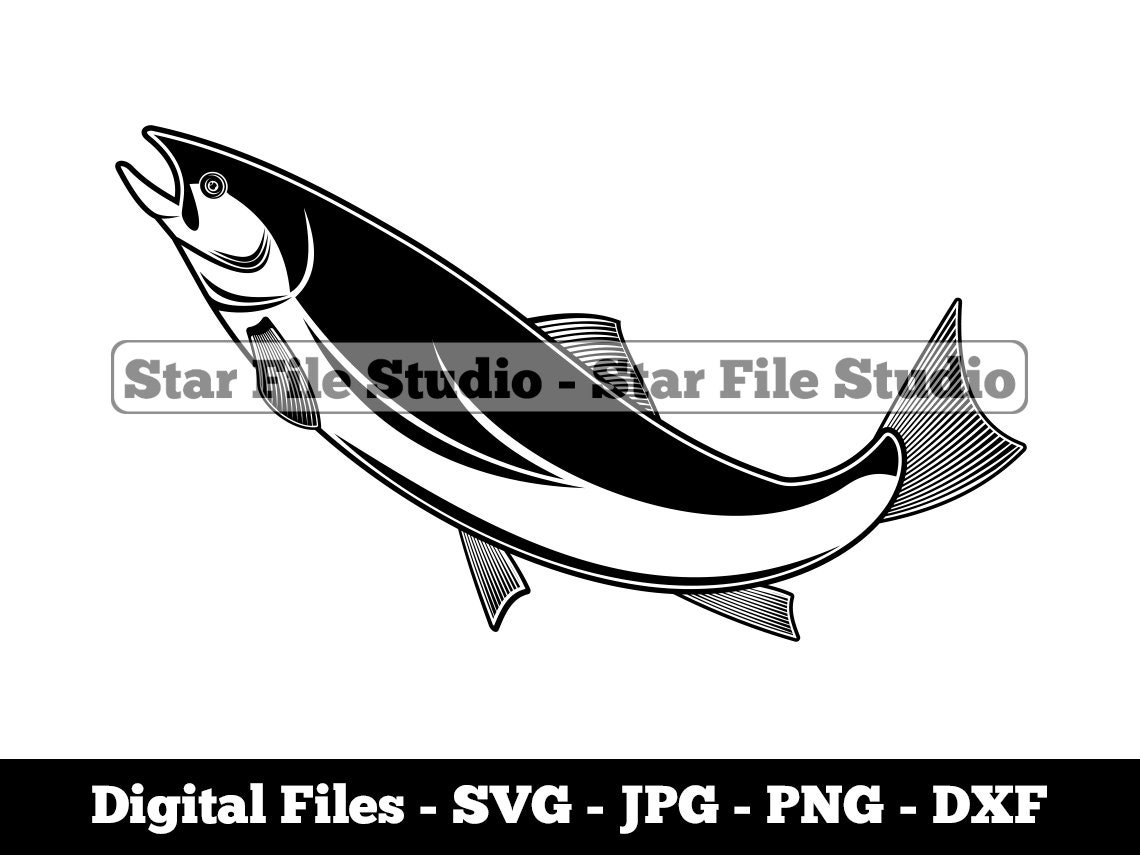 Salmon 5 Svg Salmon Fishing Svg Fishing Svg Salmon Png | Etsy