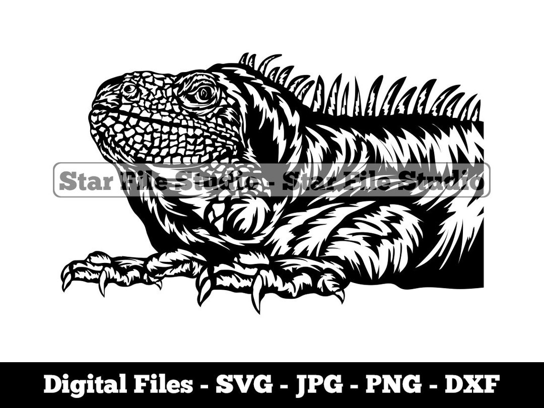 Iguana 3 Svg, Lizard Svg, Reptile Svg, Iguana Png, Iguana Jpg, Iguana ...