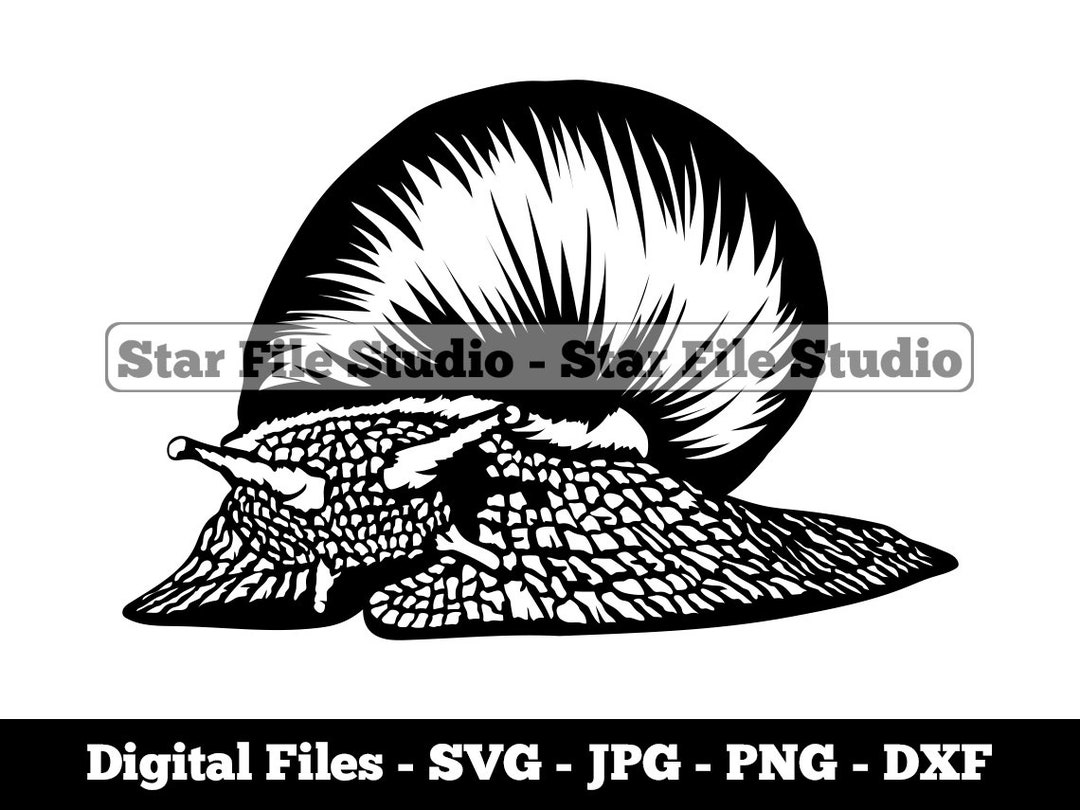 Snail 2 Svg, Snail Svg, Slow Svg, Snail Png, Snail Jpg, Snail Files ...