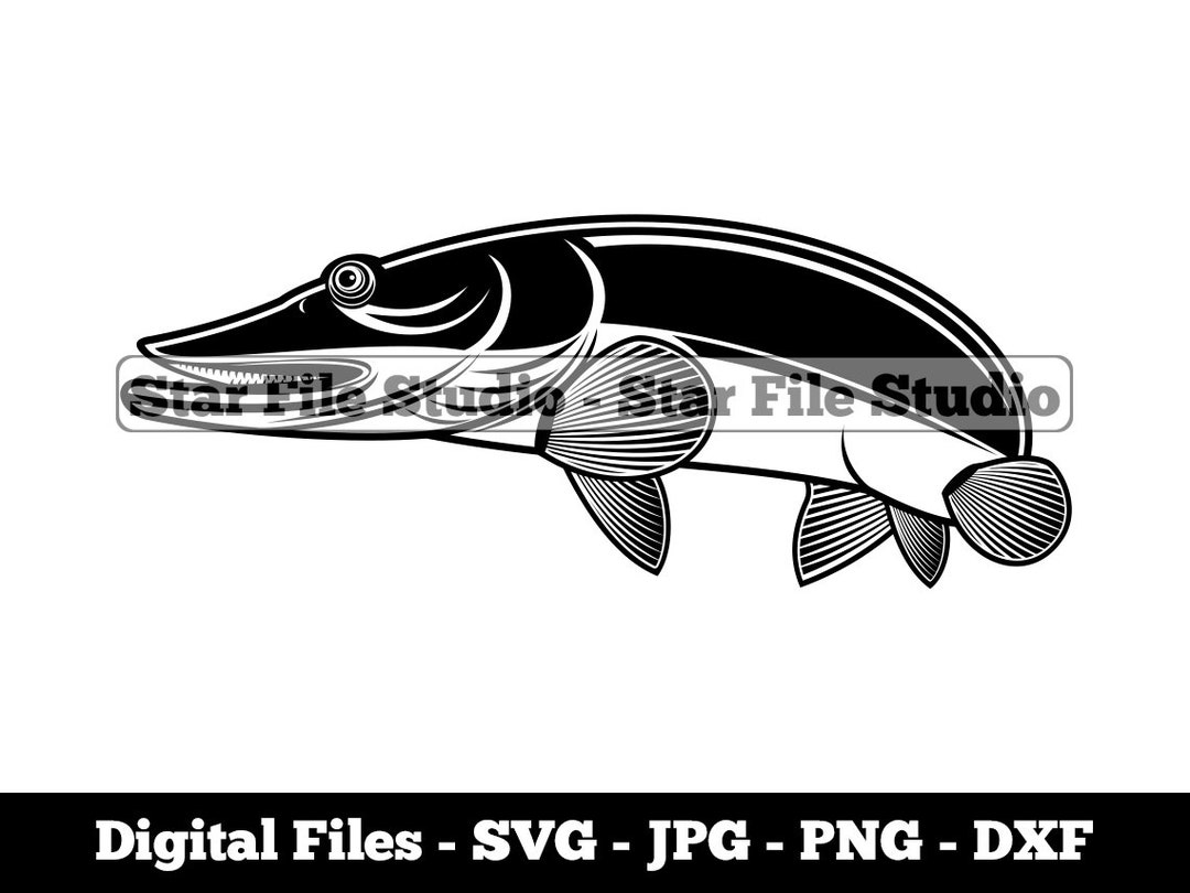 Pike 2 Svg, Fishing Svg, Fish Svg, Pike Png, Pike Jpg, Pike Files, Pike ...