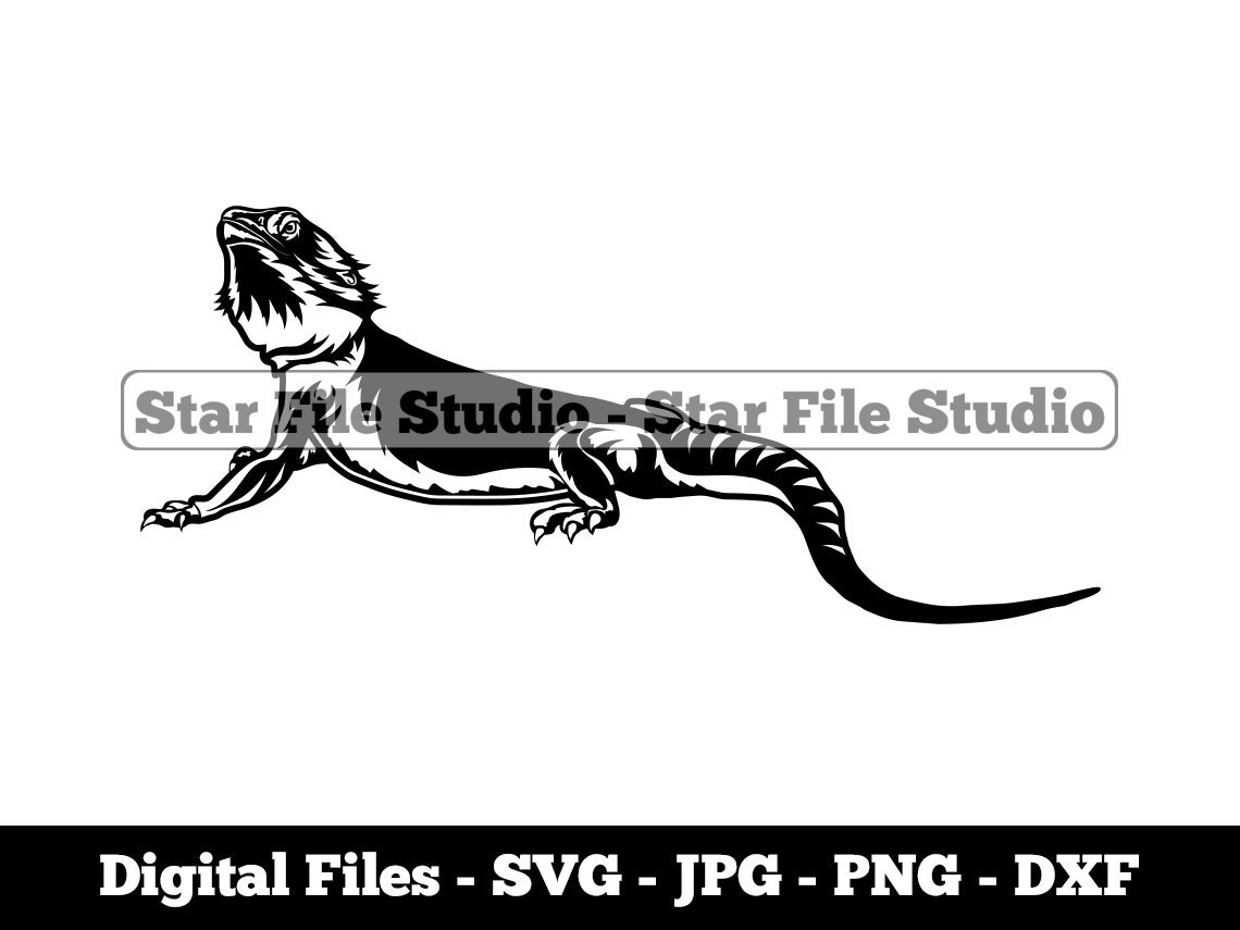 Bearded Dragon 3 Svg Lizard Svg Reptile Svg Bearded Dragon - Etsy