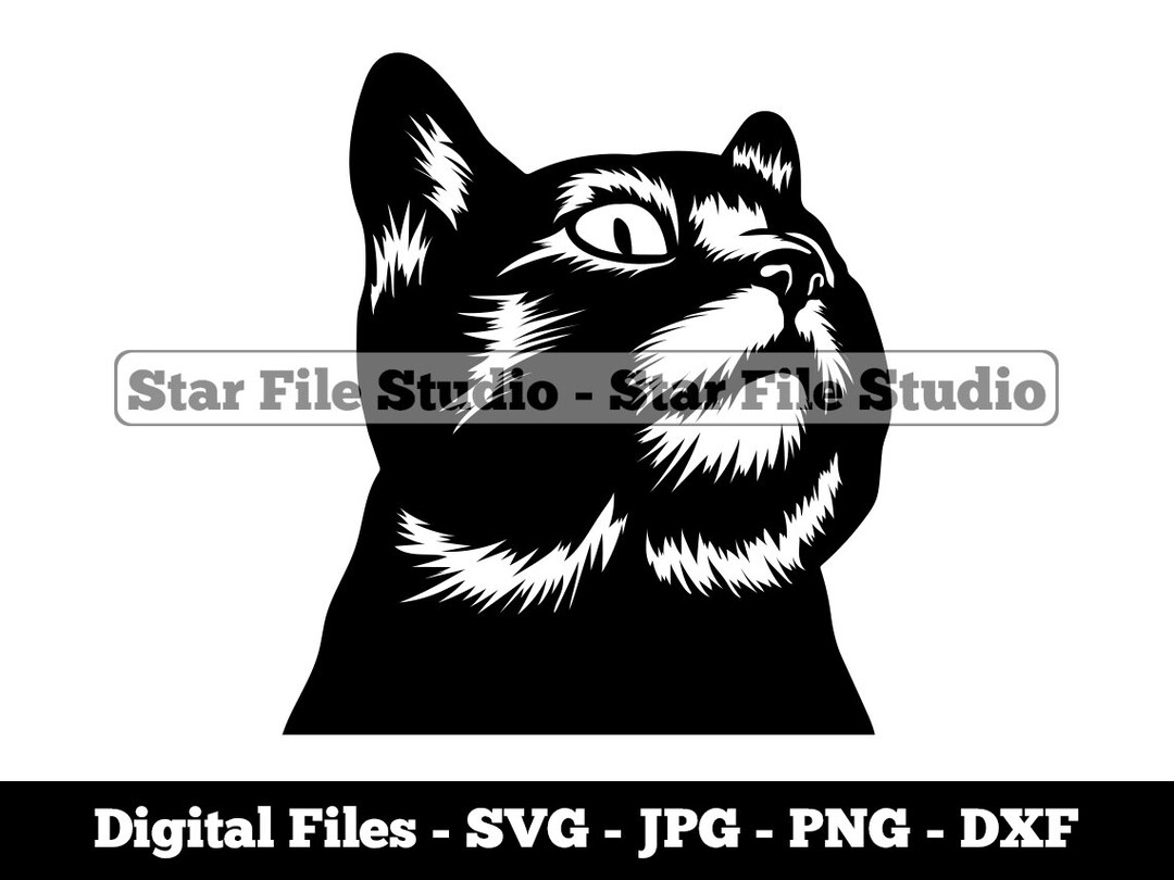 Gato 4 Svg, Gato Svg, Gatinho Svg, Gato Png, Gato Jpg, Arquivos De Gato ...
