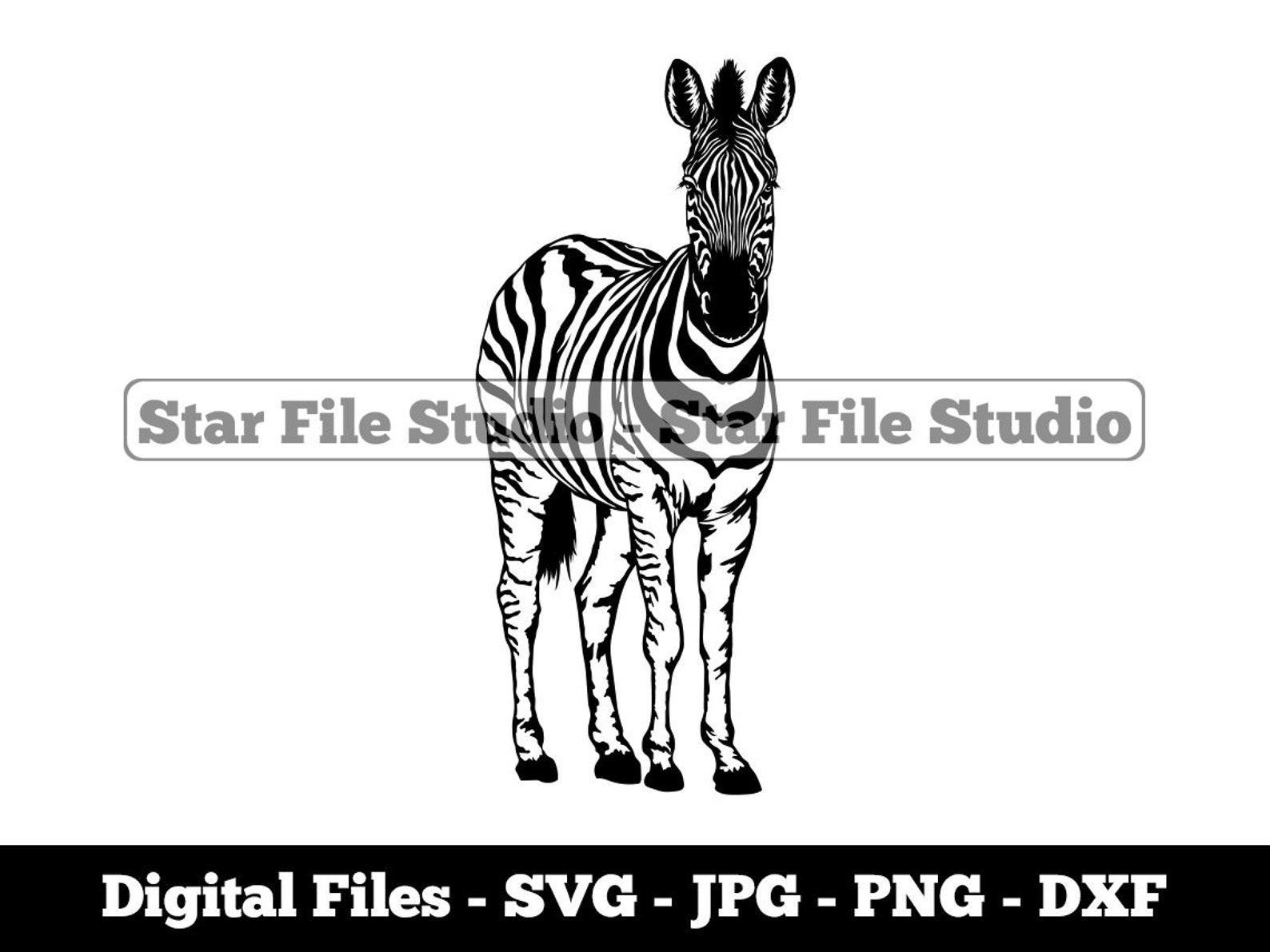 Zebra 6 Svg Zebra Svg Safari Animals Svg Zebra Png Zebra - Etsy