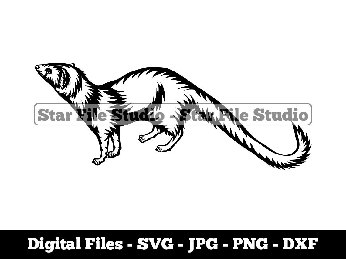 Angry Mongoose Drawing